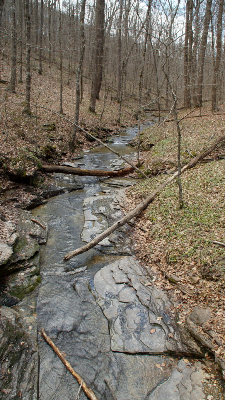 The Trails | Pulaski County Park